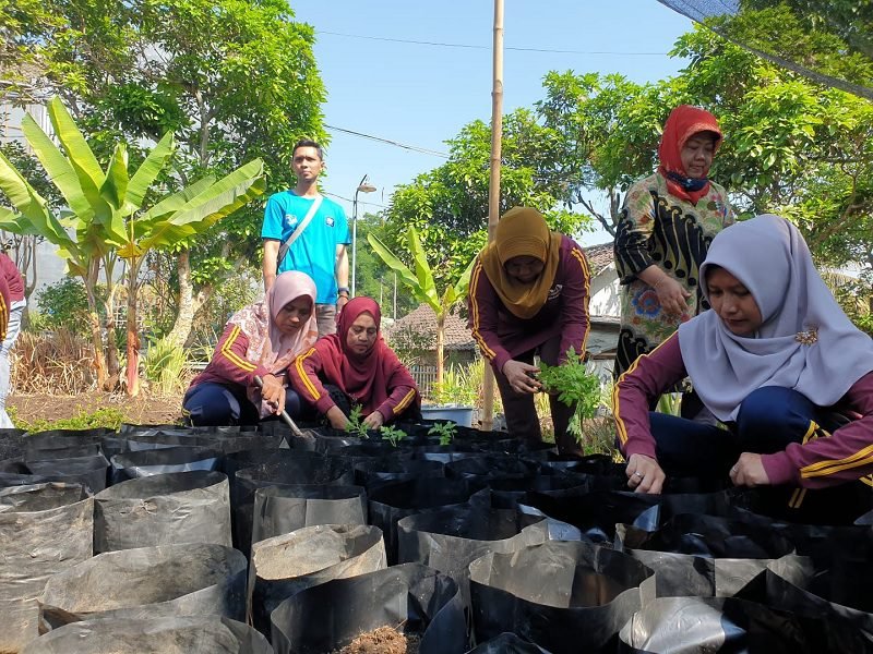 TIM DOSEN UWG SOSIALISASIKAN URBAN FARMING KE WARGA BALEARJOSARI ...