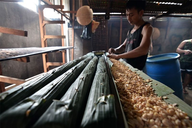 APLIKASI TEKNOLOGI PEMBEKUAN UNTUK MENUNJANG GLOBALISASI TEMPE KHAS ...